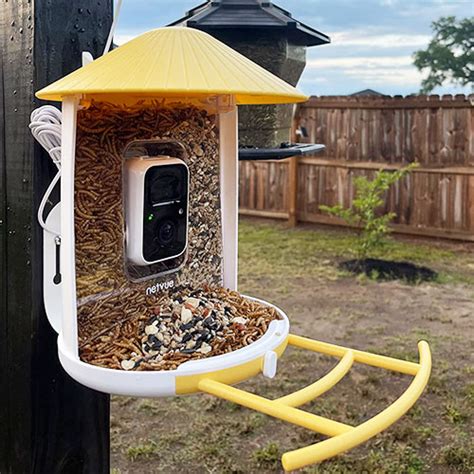 netvue birdfy lite smart bird feeder with camera