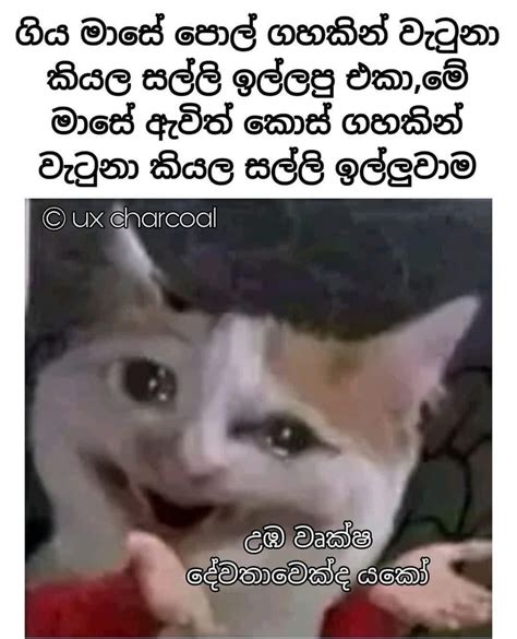 ඇත්ත කියපන් 😂 R Tkasylum
