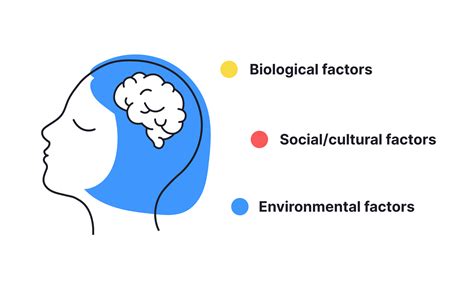 Human Behavior Uxcel
