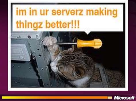 Developing Aspnet Applications Using The Model View Controller Pattern Pptx