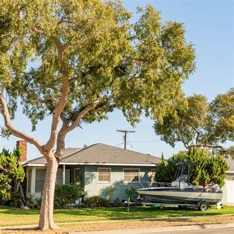 North Long Beach Long Beach Ca Neighborhood Guide Trulia