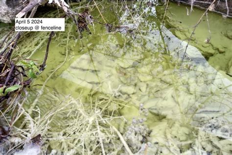 Excessive Levels Of Chromium A Toxin Were Found Along A Now Closed Part Of Bartrams Mile