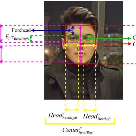 Forehead Distance Measurement Calculation Physiognomy Based Facial