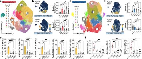 229 Large Scale Omics Profiling Reveals Type 2 Functionality Sustaining