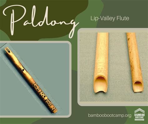 Amazing Philippine Indigenous Bamboo Musical Instruments Bamboo Music 101 Bamboo Bootcamp