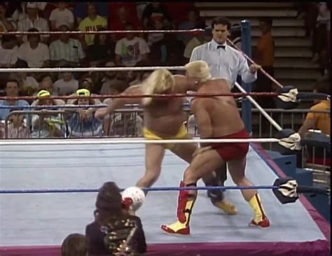 Submission Match Ronnie Garvin 🆚 Greg Valentine 📺 Wwf Royal Rumble 📅