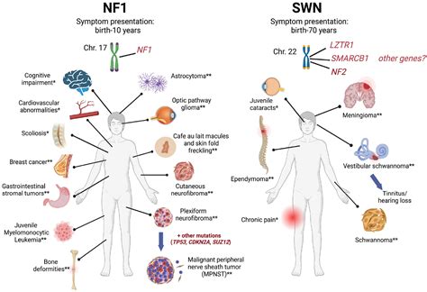 Can Neurofibromatosis Be Treated