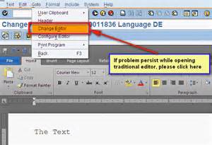 SAP GUI Working With Long Text