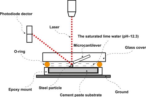 A Schematic Of The Particle Probe Scanning Force Microscopy In