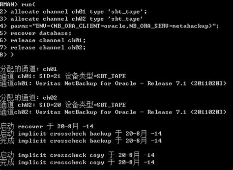 通过netbackup恢复oracle备份实操手册 csdn博客