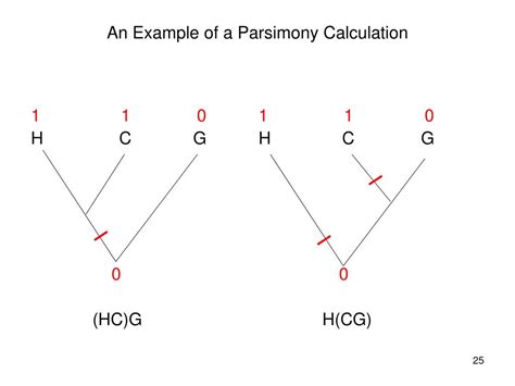 PPT Parsimony Likelihood Common Causes And Phylogenetic Inference PowerPoint Presentation