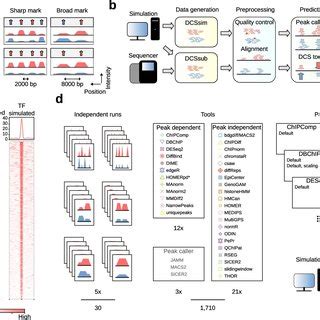 Simulation And Sub Sampling Of Differential ChIP Seq Experiments A Download Scientific Diagram