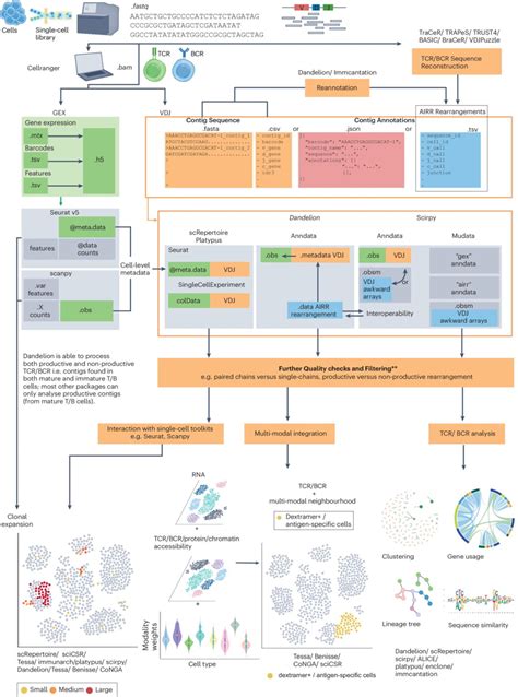 Theuniversityofqueensland Spatialomics Spatialbiology Singlecellanalysis Singlecell