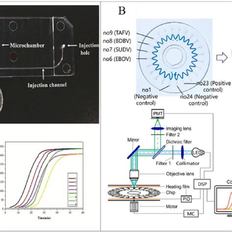 Microfluidic Strategies For Nucleic Acid Based Detection Of Foodborne Download Scientific