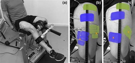 A The Knee Dynamometer Measuring The Power Output Of The Right Leg