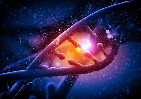 Dna Flip Switches Found To “supercharge” Evolution