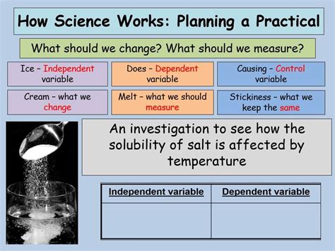 Scientific Skills Lessons Hypothesis Variables Method Graph And Conclusion Writing