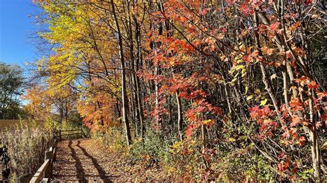Fall Colors On Display At Ledge View Nature Center In Calumet County
