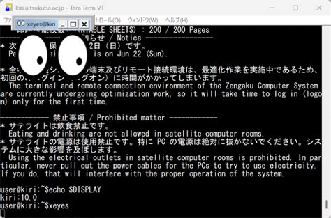Ssh接続経由でlinuxデスクトップアプリケーションを使いたい 全学計算機システム Zengaku Computer System 筑波大学 学術情報メディアセンター