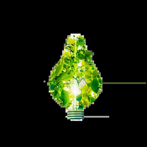 Tree Growing Inside A Bulb Png Images Psd Free Download Pikbest