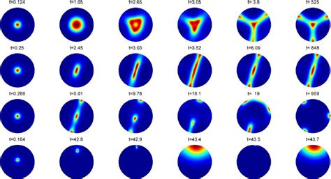 Various Dynamics Observed In Two Dimensional Disk Download