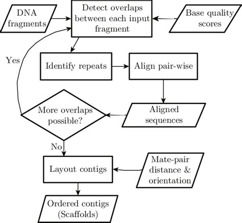 Example Of Assembly Process At Carol Santana Blog