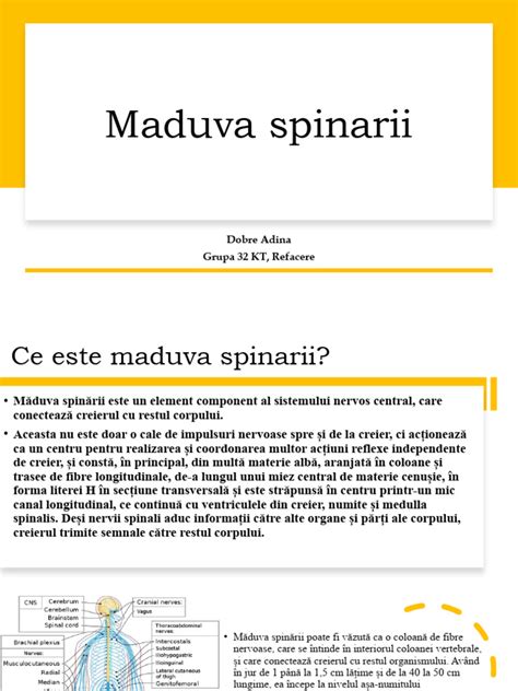 Maduva Spinarii Pdf