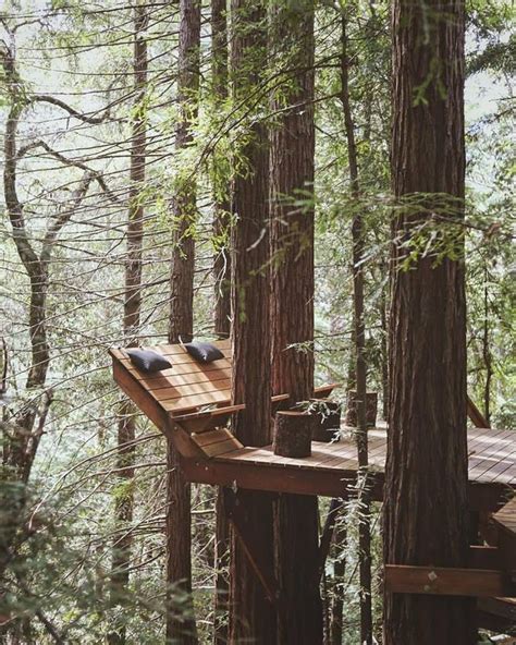 Tree House Inspiration Deck Design Tree House Designs Tree House Forest House