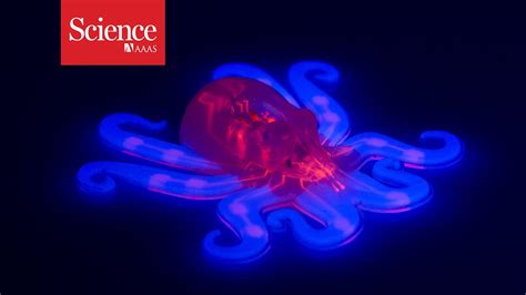 ‘octobot Is The Worlds First Soft Bodied Robot Youtube