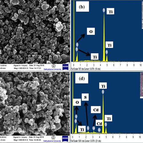 Fe Sem Images And Edx Spectra Of A B Tio2 And C D Tio2 Cds 12 Cycles