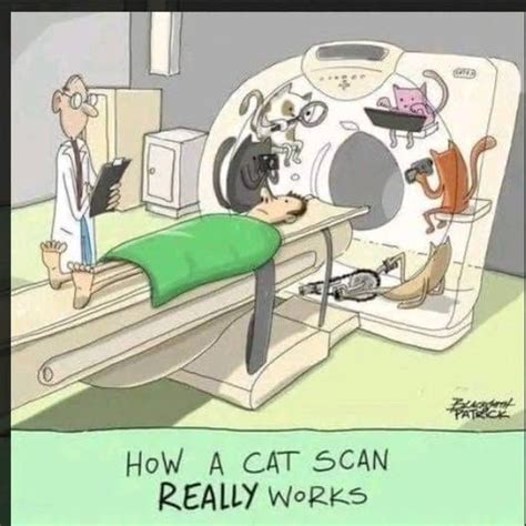 Patrick Mcbee Posted On Linkedin