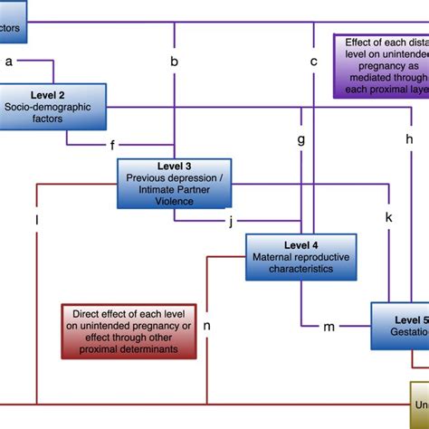 Conceptual Hierarchical Framework Of Risk Factors For Unintended