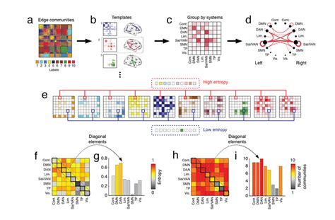 Edge Community Templates Reveal System Dependent Organization A Edge