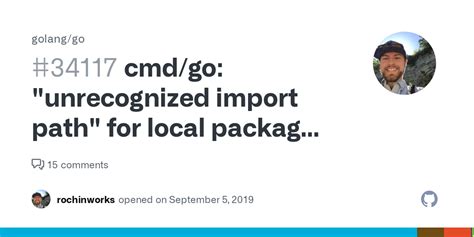 cmd go unrecognized import path for local packages after updating to