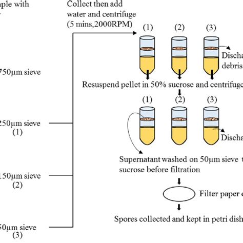 Representation Of Wet Sieving And Decanting Methods The Steps Involved