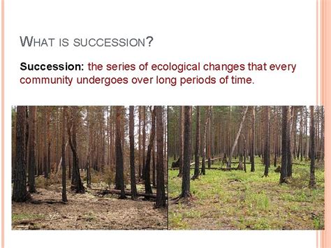 What Evidence Do We Have That Ecosystems Change