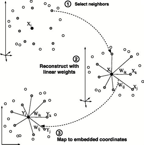 Nonlinear Dimensionality Reduction By Locally Linear Embedding Science
