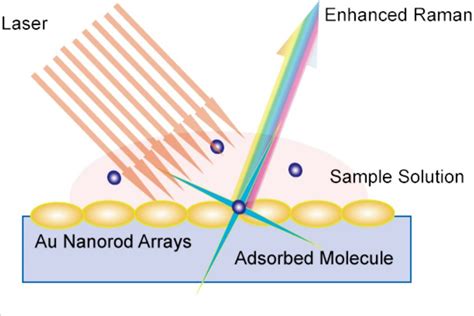 St Japan Gold Nanorod Array Raman Sers Substrate