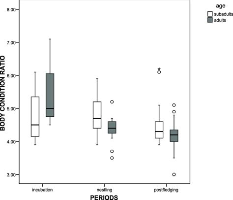 Box Plot Median 25 75 Percent Quartiles And Minimal And Maximal