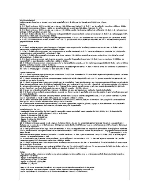 Mini Pia 2022 Pdf Economias