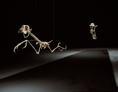 Popular Cartoon Character Skeletons By Hyungkoo Lee