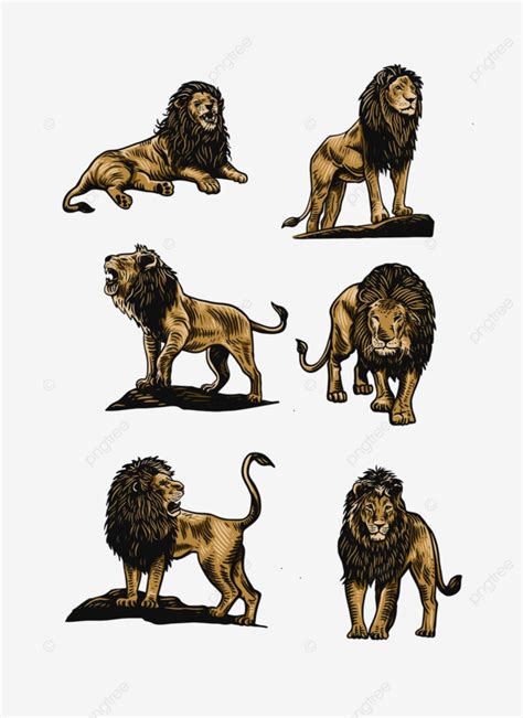 사자 일러스트 이미지 벡터 사자 삽화 벡터 Png 일러스트 및 벡터 에 대한 무료 다운로드 Pngtree