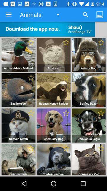 Best Meme Generator Apps For Android