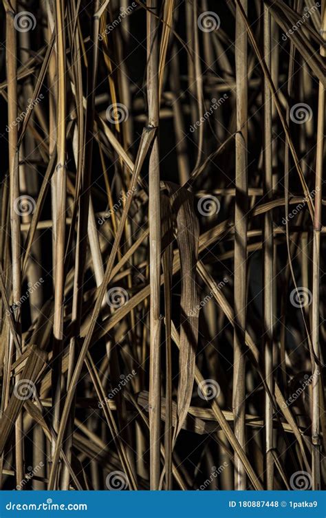 A Golden Monochromatic Stone Cladding Textured Background Wallpaper