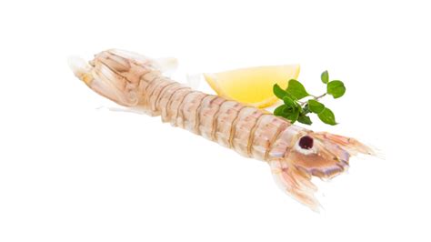 Canocchie 300 G Carrefour