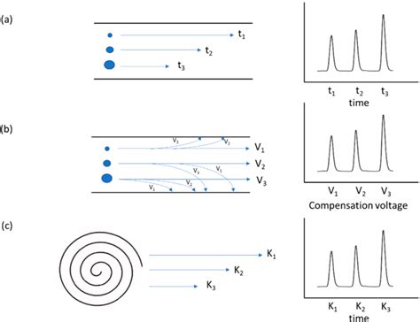 Figure 1 From Ion Mobilitymass Spectrometry For Bioanalysis Semantic Scholar