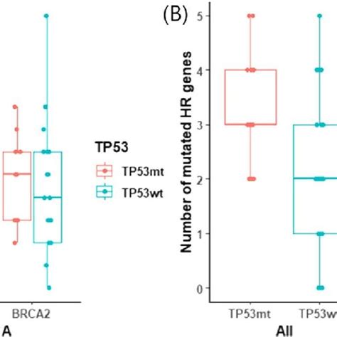 Number Of Mutated Genes By Tp53 Mutation Status A Of All Genes And B Of