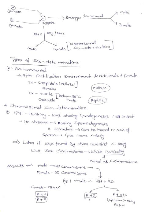 Principles Of Inheritance And Variation Class 12 Notes Studypur