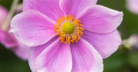 Хороскоп за 28 септември 2022г Рак Не се страхувайте да разчитате на собствените си сили днес