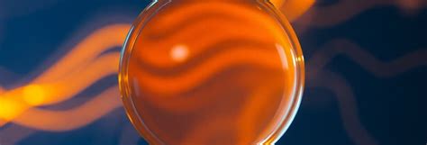 Physics Examination Questions